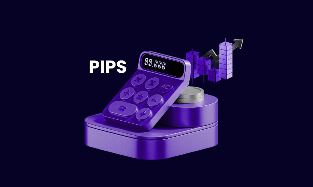How Do You Calculate Pips in Forex? Step-by-step Guide