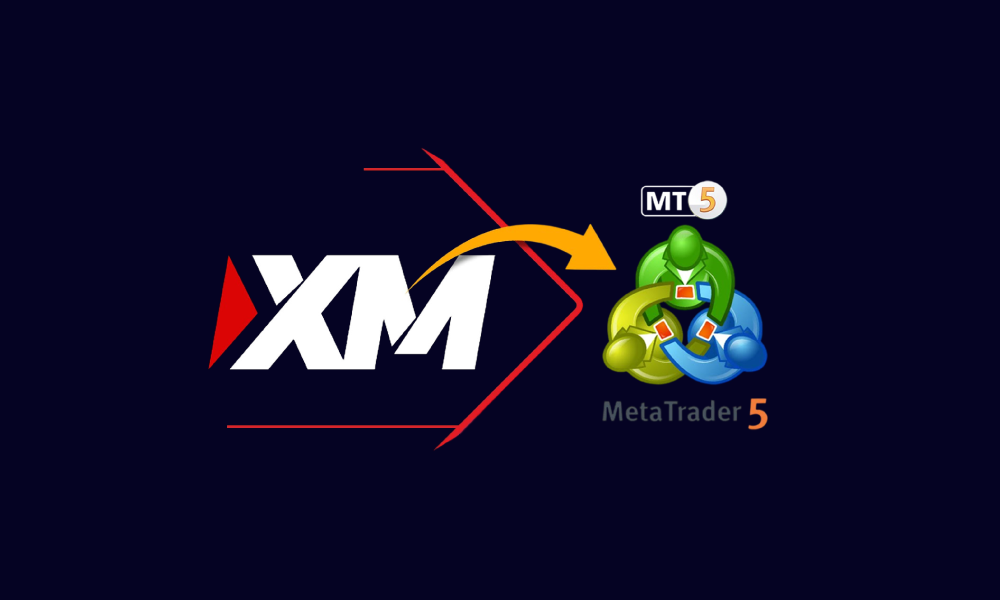 XM Login: MT4/MT5 & Members Area